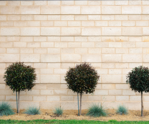 Ligna Stone Speciality Blocks & Bespoke Sizes | Green Magazine