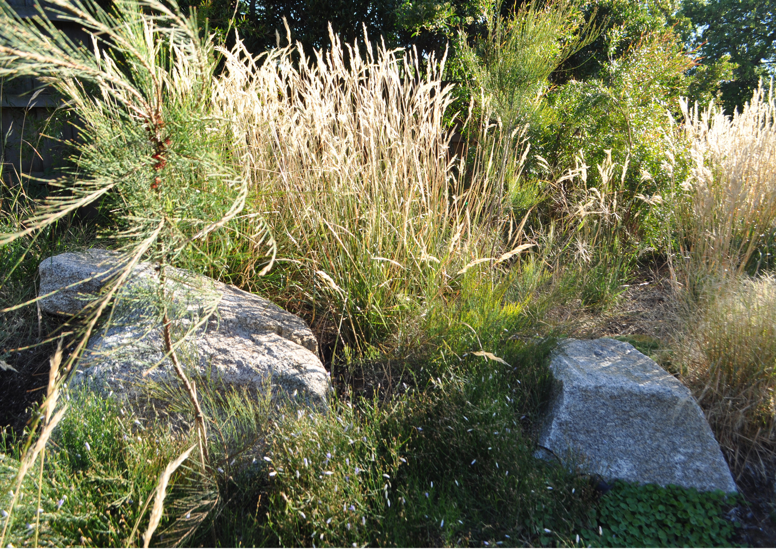 Bush Projects Landscape Architecture | Green Magazine