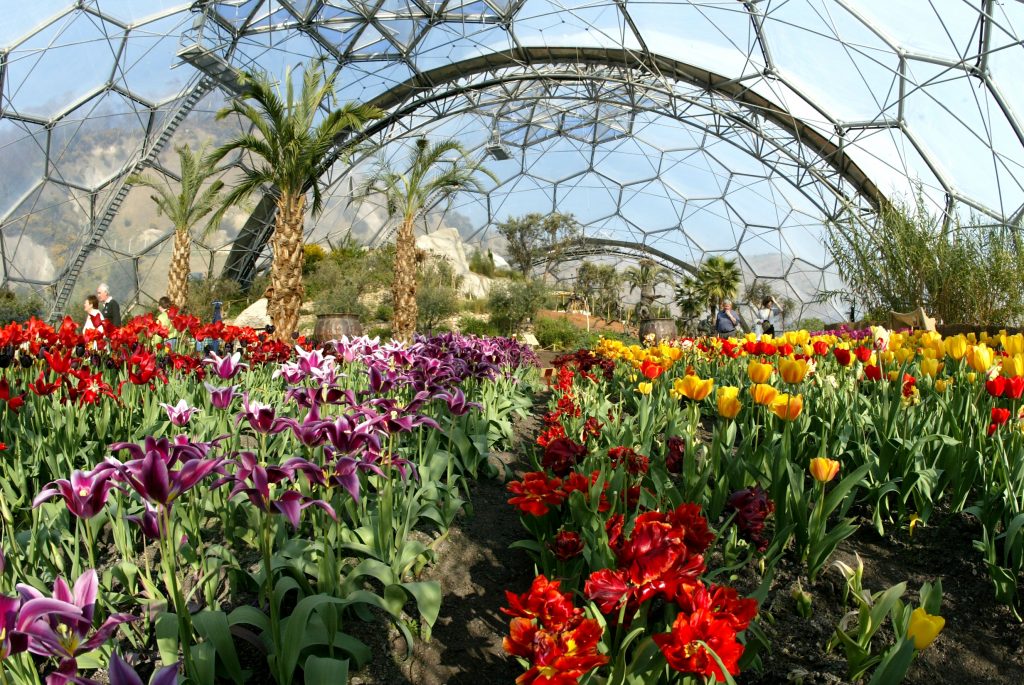 Eden Project plants roots down under | Green Magazine