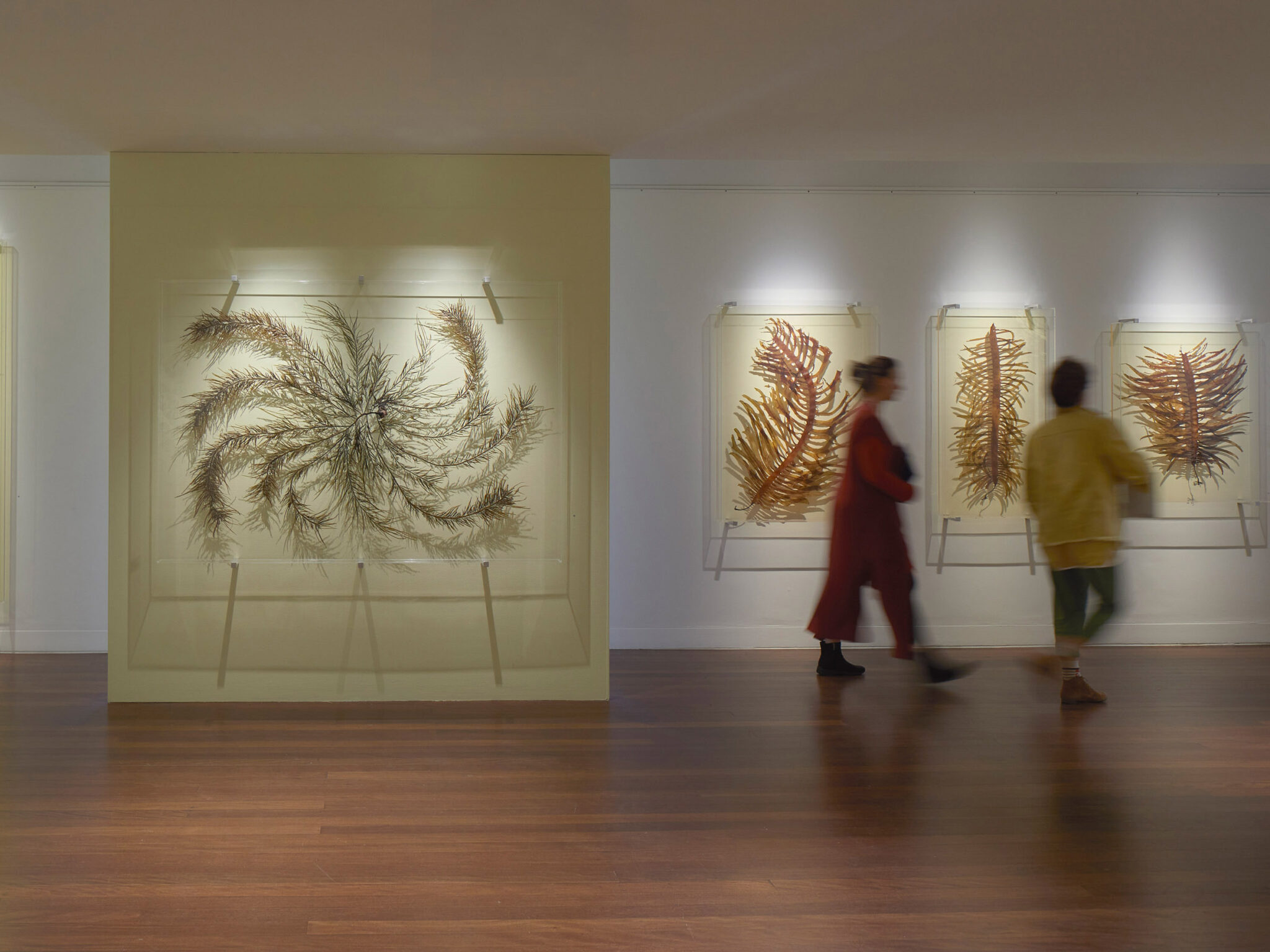 Finalists announced for inaugural Environmental Art and Design Prize ...