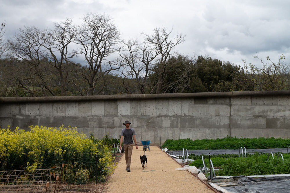 A Chefs Paradise—Issue 88 | green magazine | green magazine